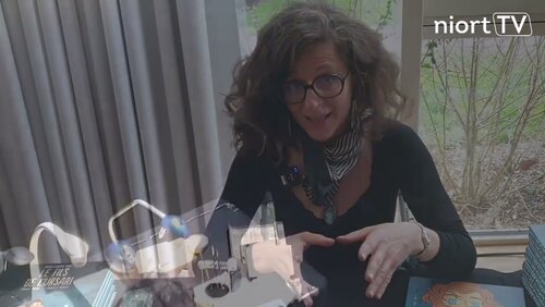 Actualité Ville de Niort : Perds pas le nord papillon / Regards Noirs #2025