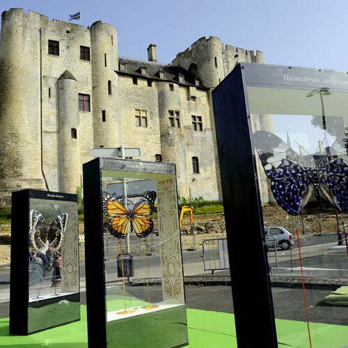 Actualité Ville de Niort : Des créatures s'installent en bord de Sèvre ...